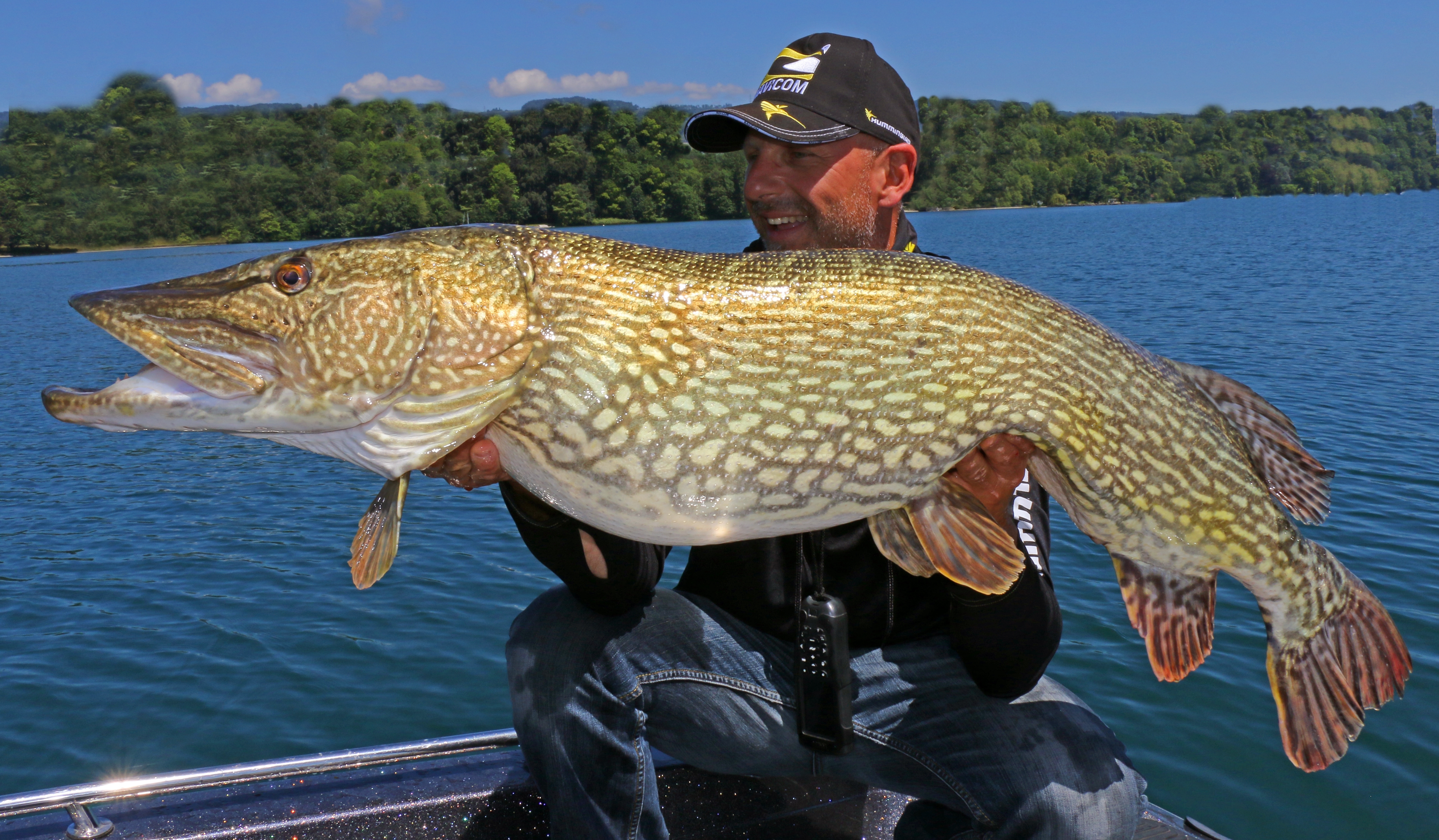 trophy pike leurre brochet esox toy fish toy lotzilla canne à pêche